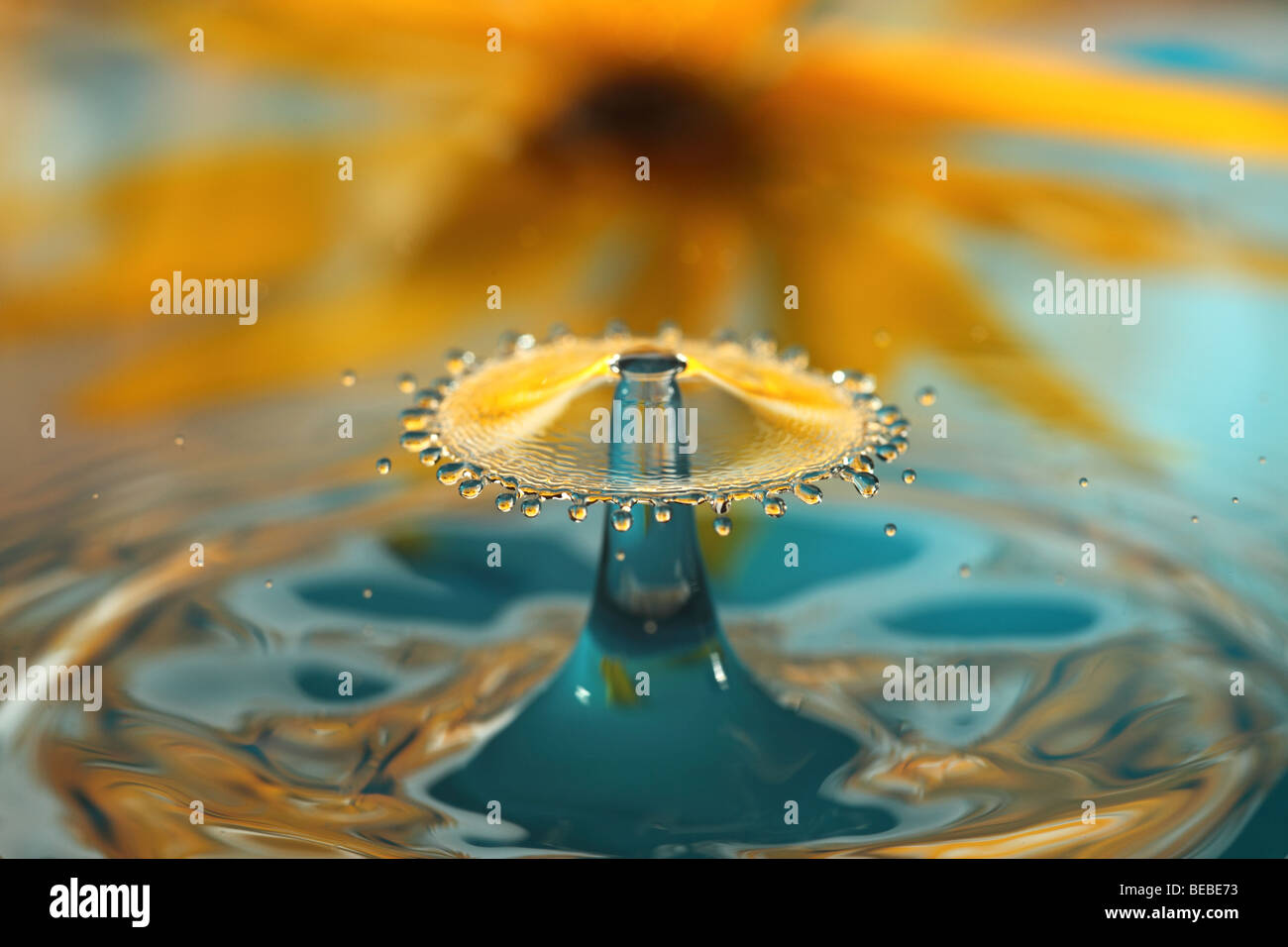 Drops Dripping High Resolution Stock Photography And Images Alamy