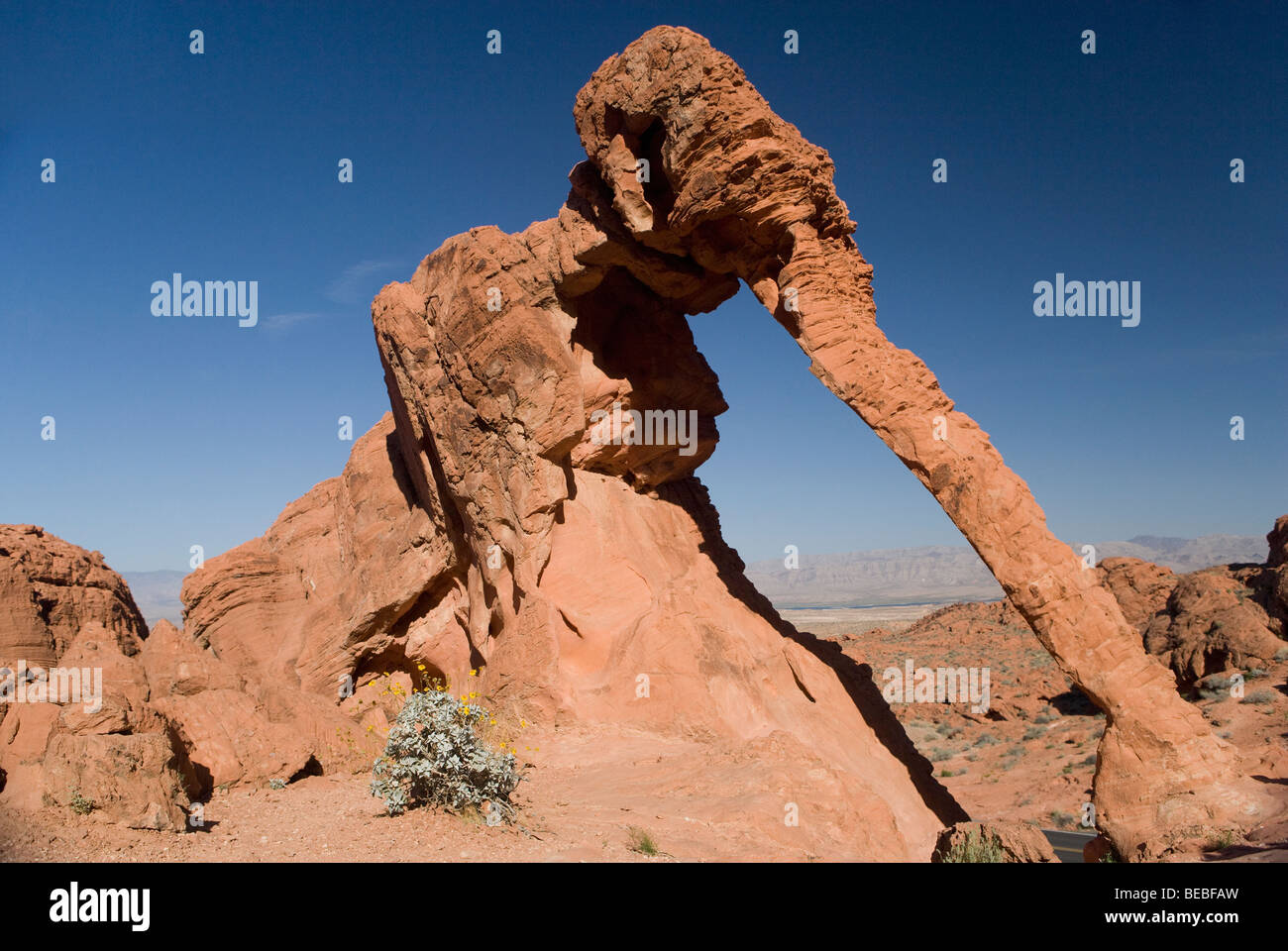 Rock formation on a landscape, Valley of Fire State Park, Las Vegas ...