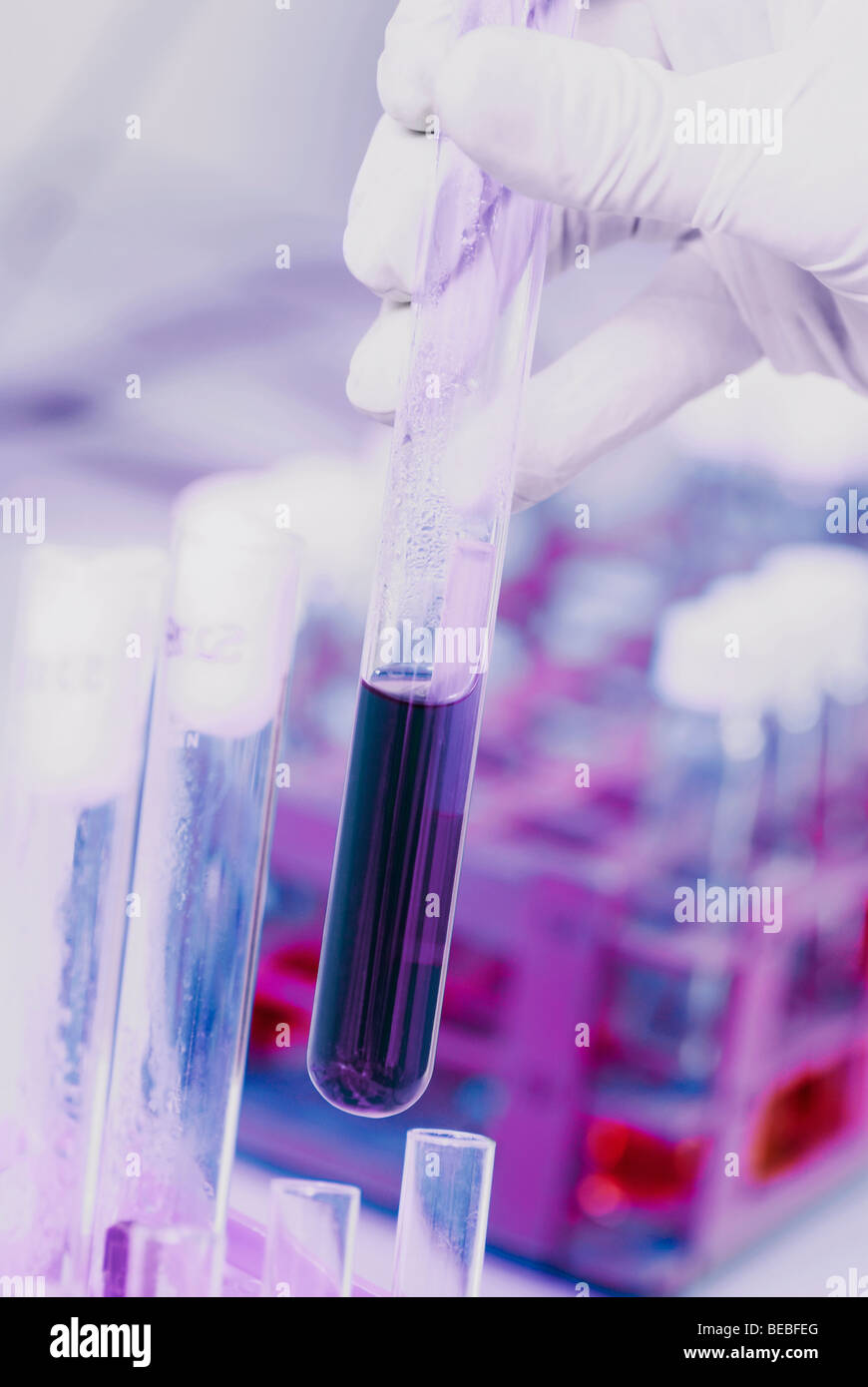 Scientist holding tube test hi-res stock photography and images - Alamy