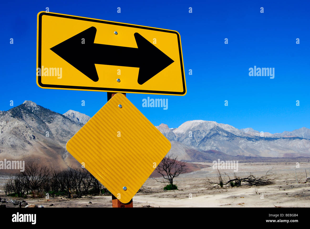 Opposite Rays Real Life Example