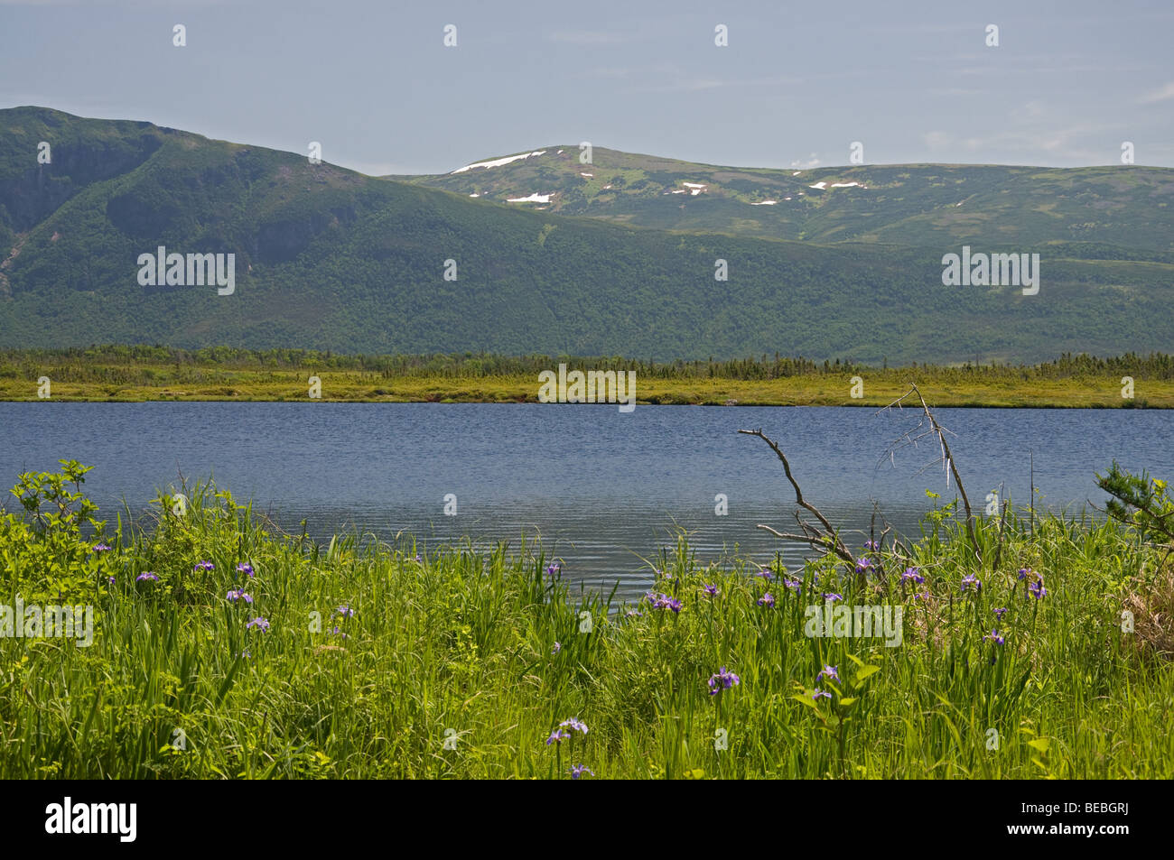 A view of Gros Morne Park in Newfoundland Stock Photo - Alamy