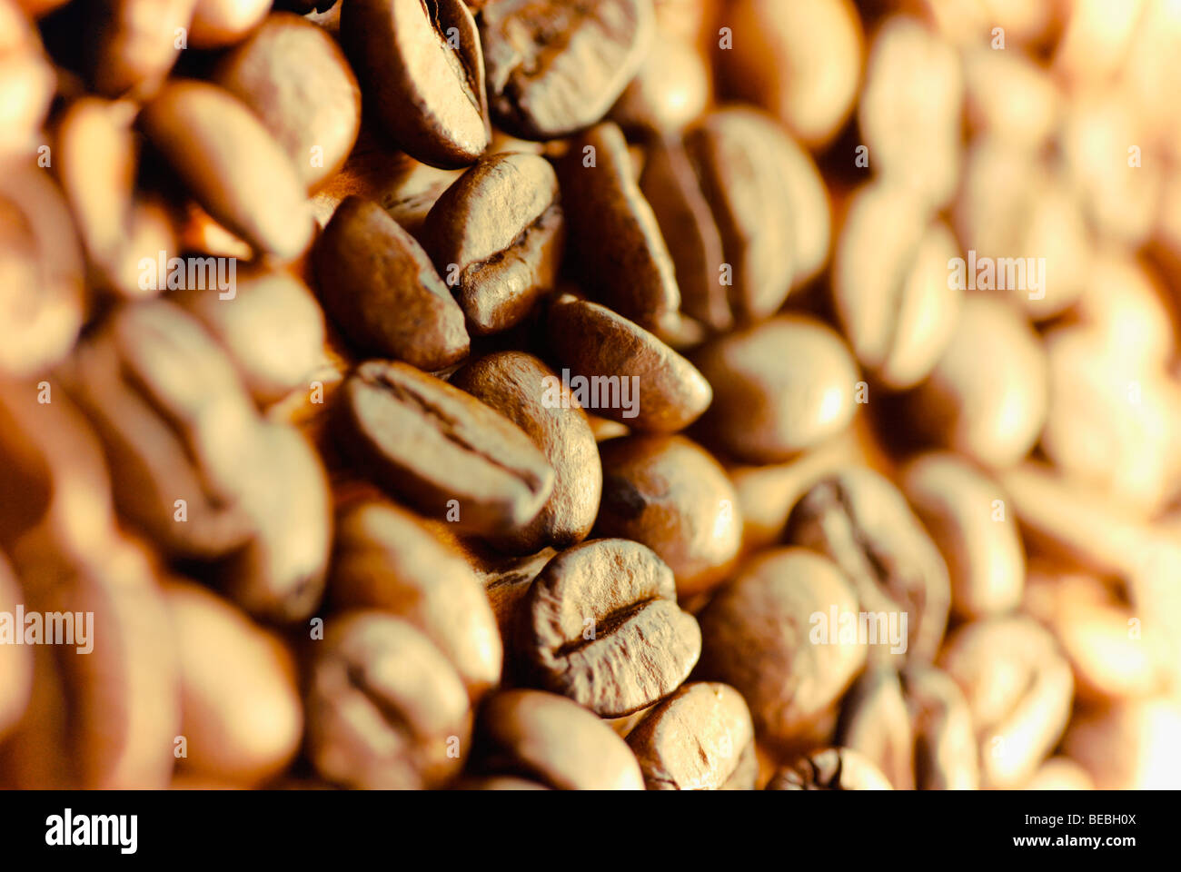 Close-up of coffee beans Stock Photo - Alamy