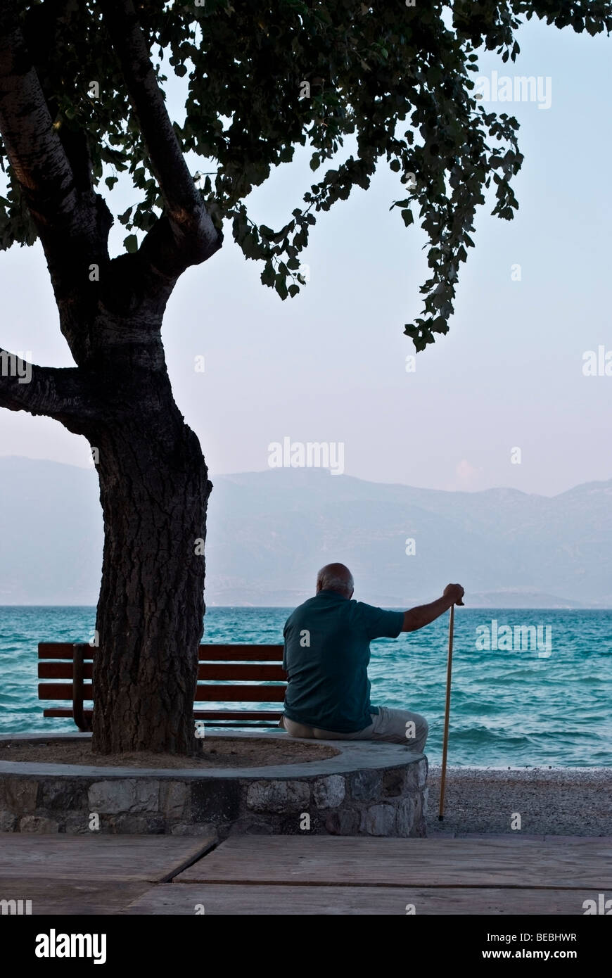 An old man sitting by a tree and gazing at the sea Stock Photo - Alamy