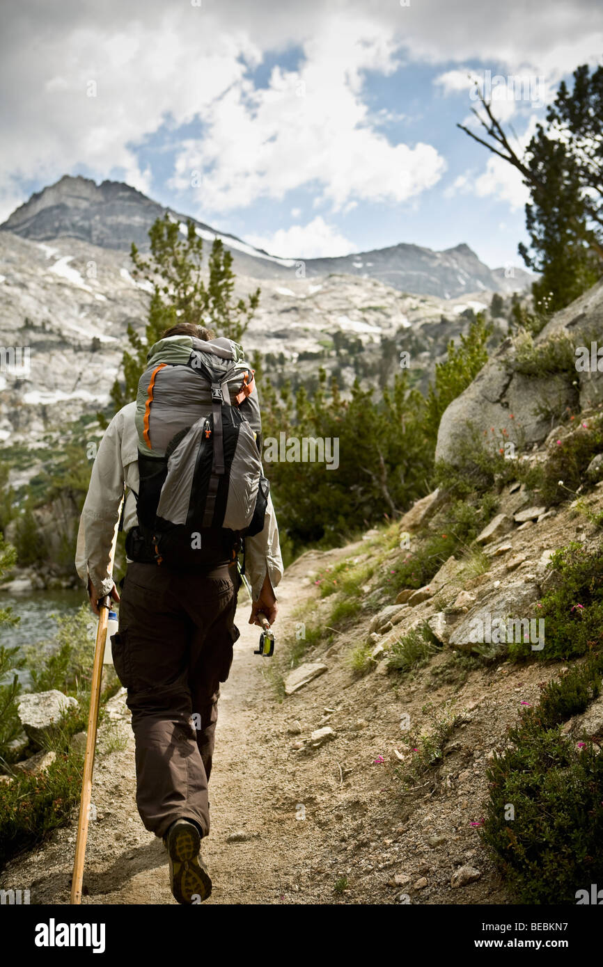 Rear view of a hiker walking in a forest Stock Photo - Alamy