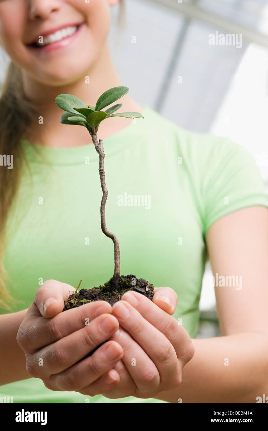 Woman holding a sapling in a greenhouse Stock Photo - Alamy