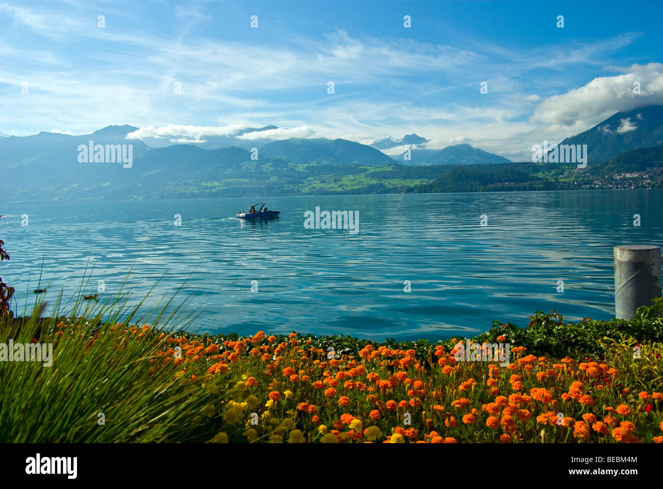 The alps lake thun switzerland hi-res stock photography and images - Alamy