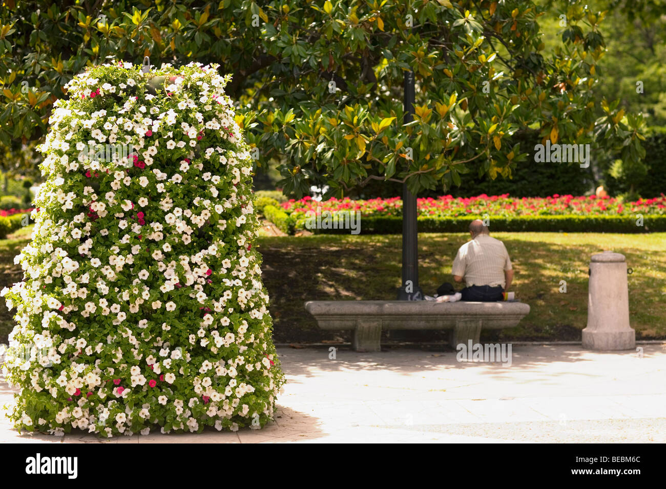 Rear view of a man sitting on a park bench, Madrid, Spain Stock Photo ...