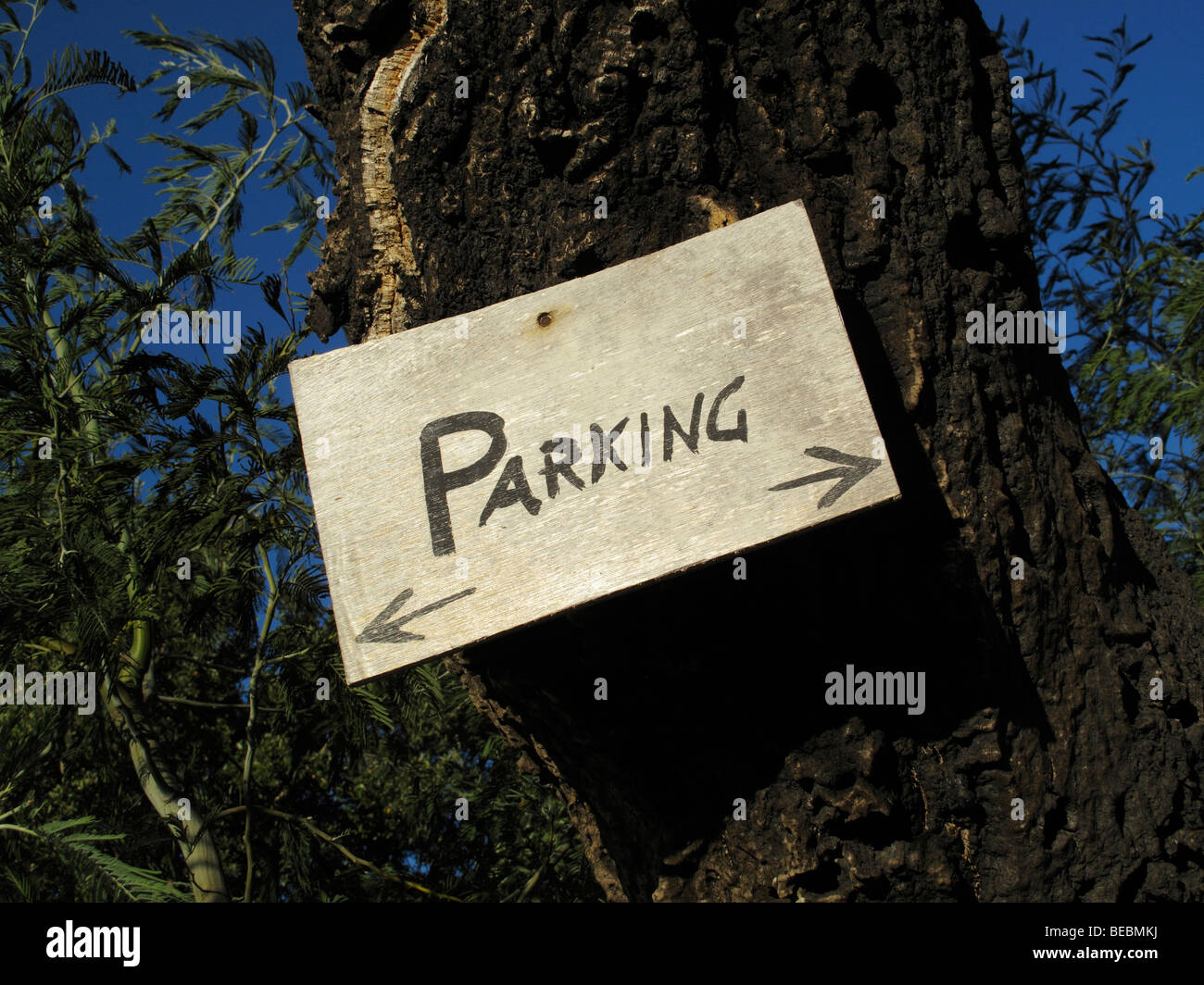 A parking sign fixed to a tree Stock Photo - Alamy