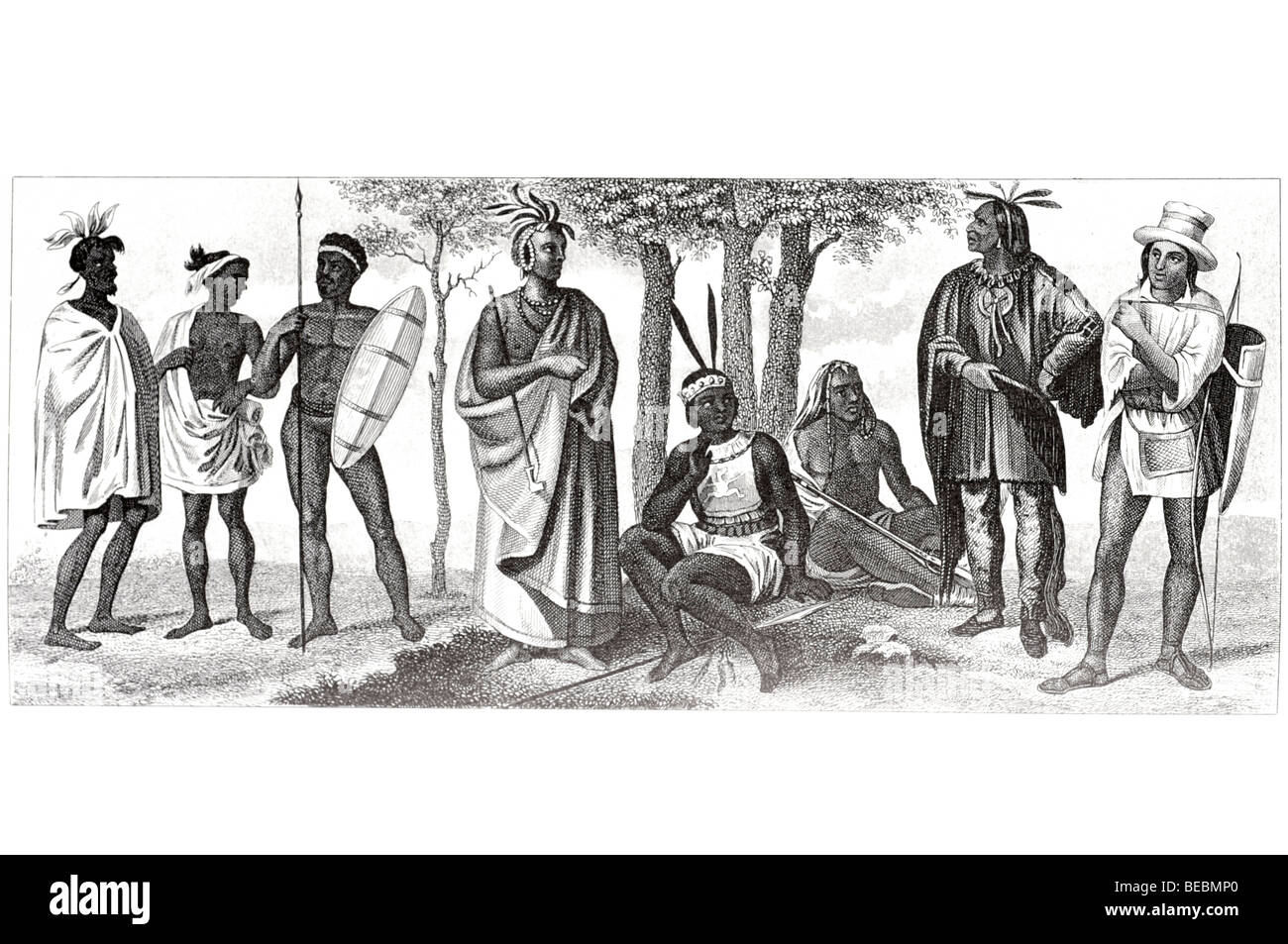 Natives of new zealand hi-res stock photography and images - Alamy