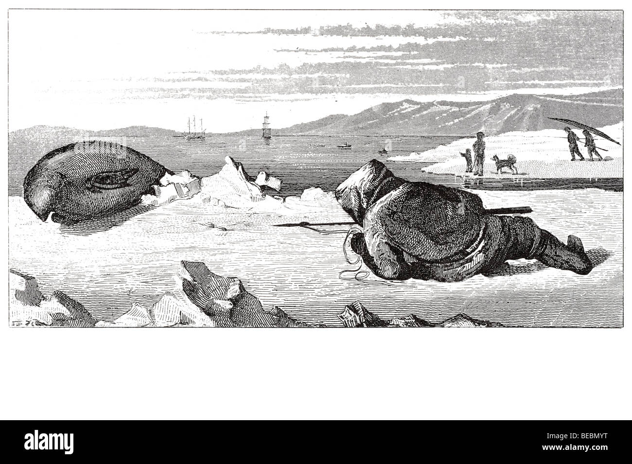 greenland seal hunting Stock Photo - Alamy
