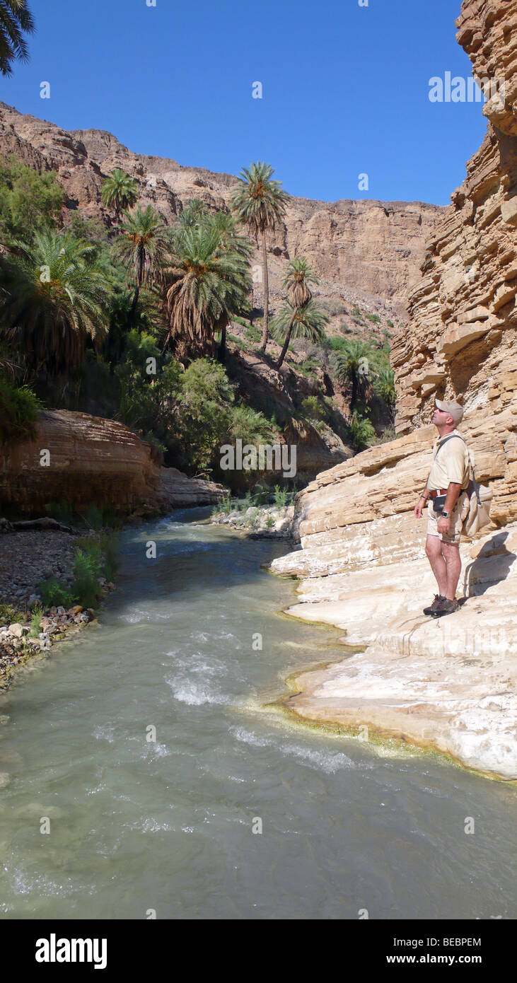 A male tour guide gazes upwards while on a canyoning tour of Wadi Zarqa ...
