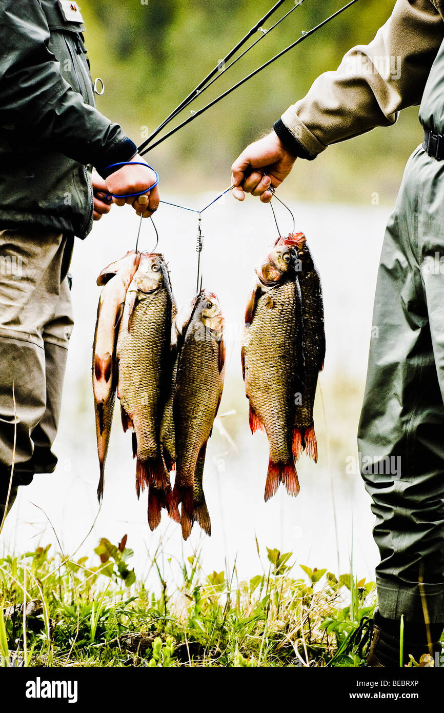 Two people carrying dead fish Stock Photo - Alamy