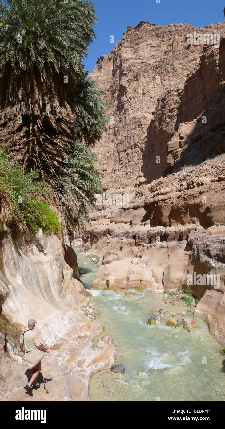 Following the spring water in Wadi Zarqa, on a canyoning tour between ...