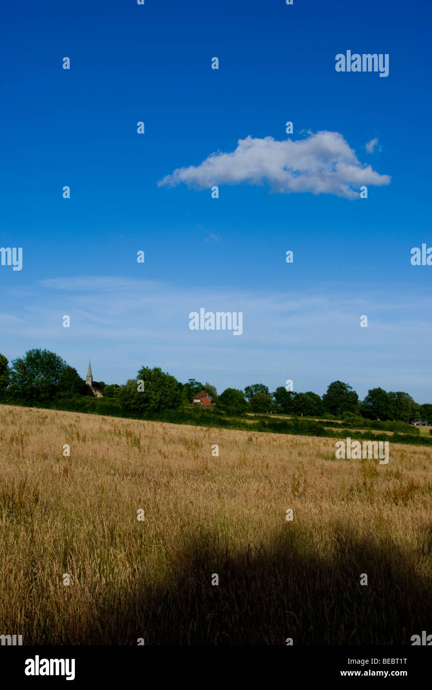 Crowhurst hi-res stock photography and images - Alamy