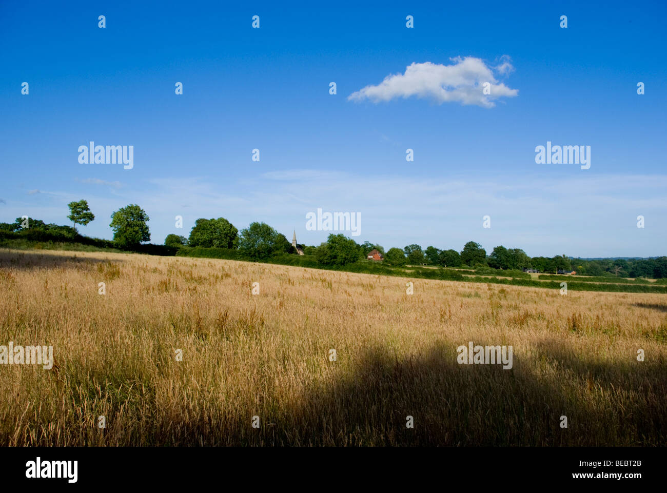 uk, england, surrey, crowhurst village Stock Photo - Alamy