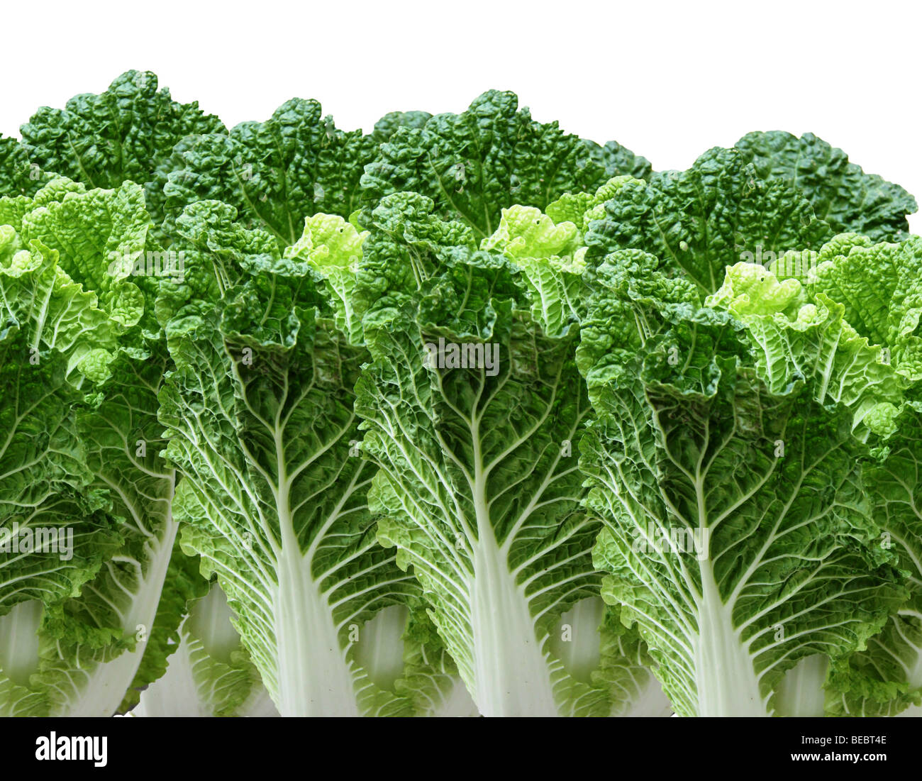 green Chinese cabbages isolated on white background Stock Photo - Alamy