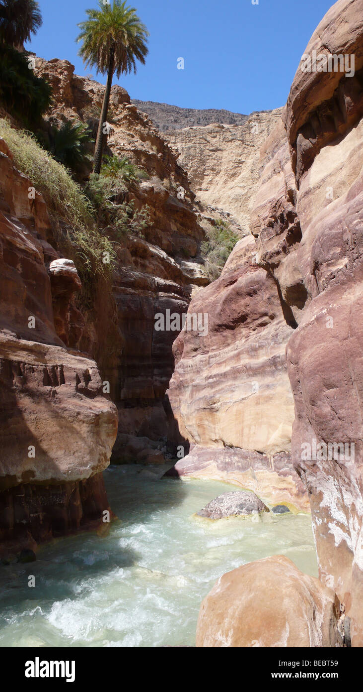 Following the spring water in Wadi Zarqa, on a canyoning tour between ...