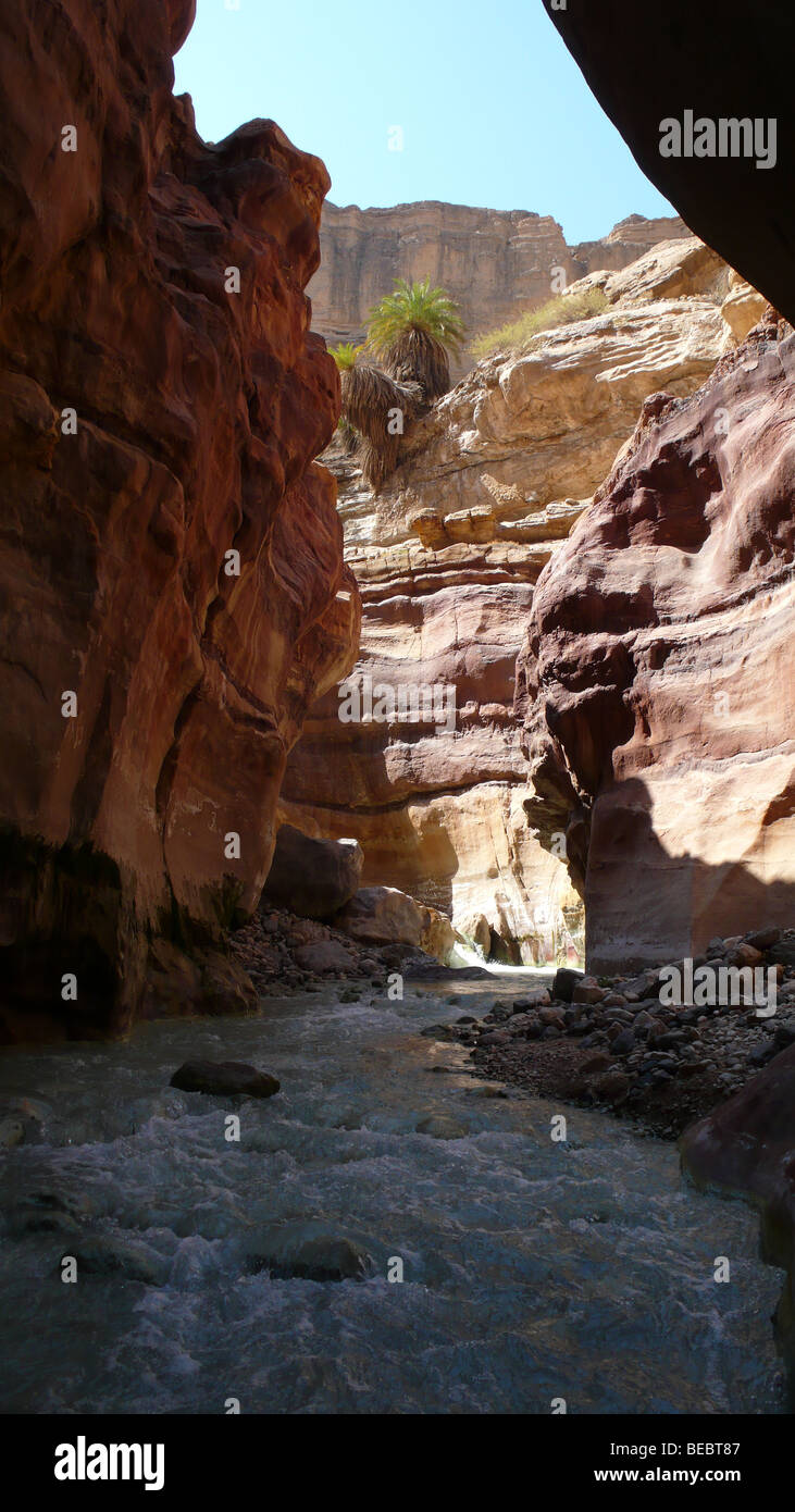 Following the spring water in Wadi Zarqa, on a canyoning tour between ...