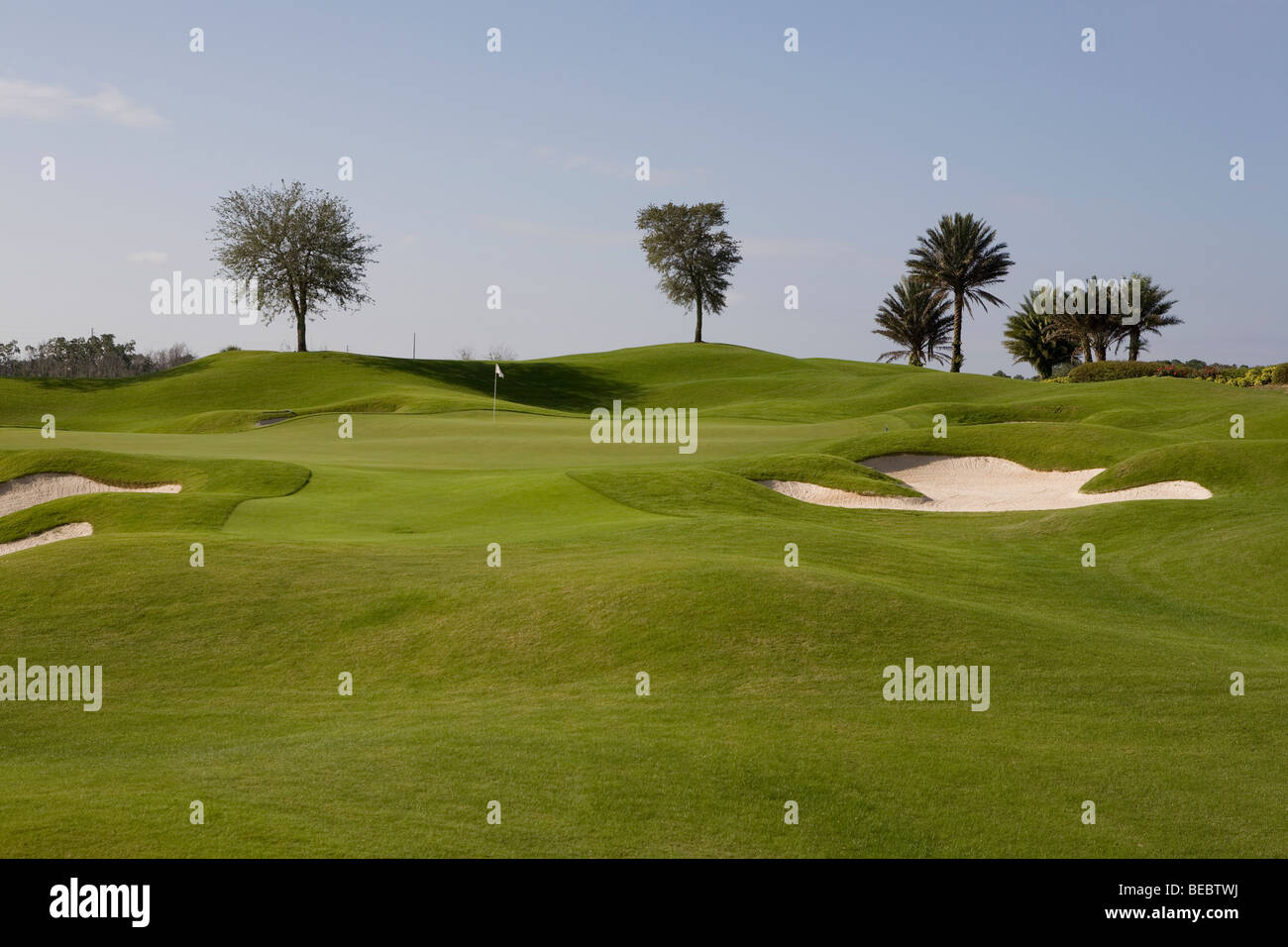 Trees in a golf course Stock Photo - Alamy