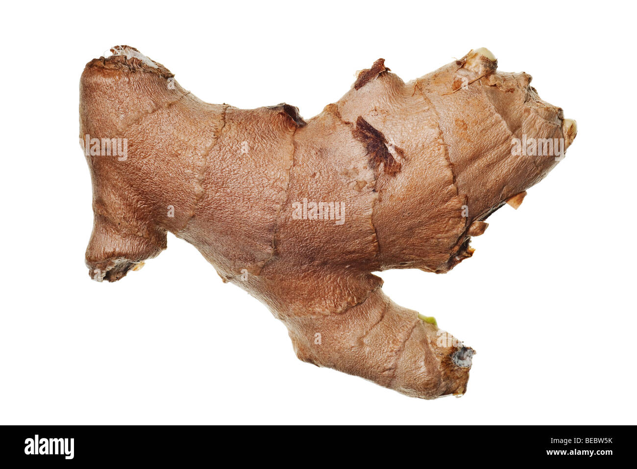 Closeup root ginger hi-res stock photography and images - Alamy