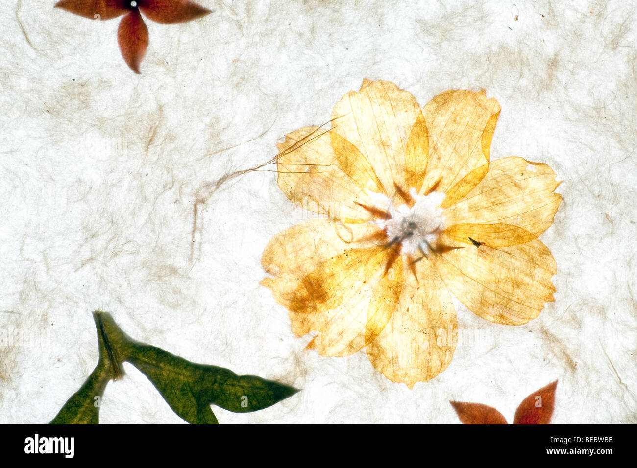 Handmade Paper Texture Background