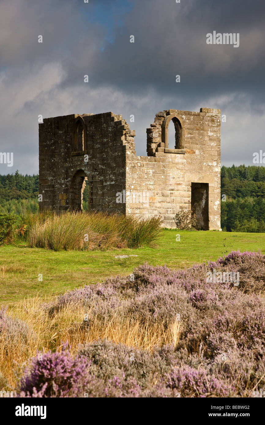 Skelton Tower Levisham Moor, North York Moors National Park Stock Photo ...