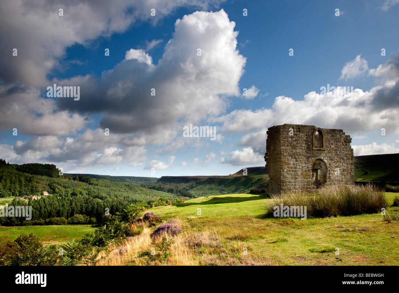 Skelton Tower Levisham Moor, North York Moors National Park Stock Photo ...