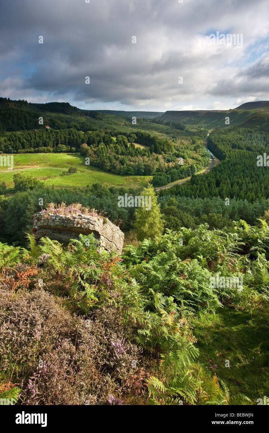 Dale moor hi-res stock photography and images - Alamy