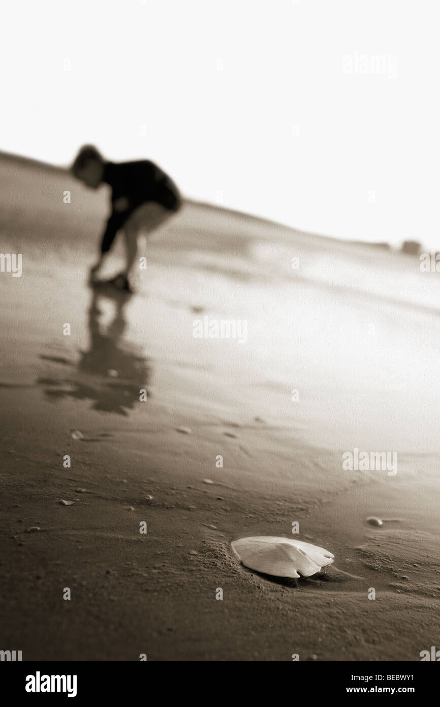 Boy Picking Shells High Resolution Stock Photography and Images - Alamy