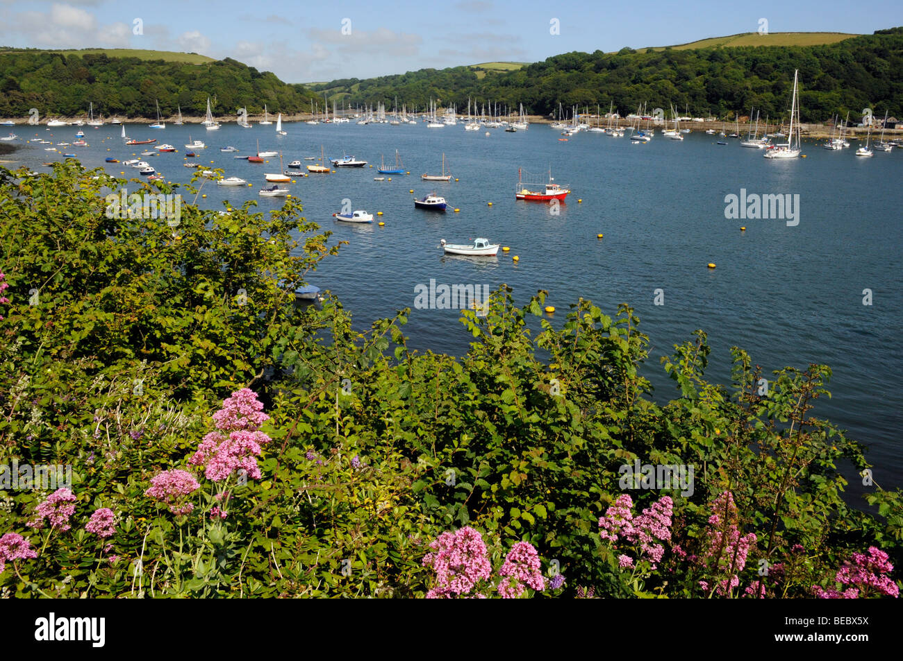 Fowey Estuary full of sailing boats and fishing vessels with mixed ...