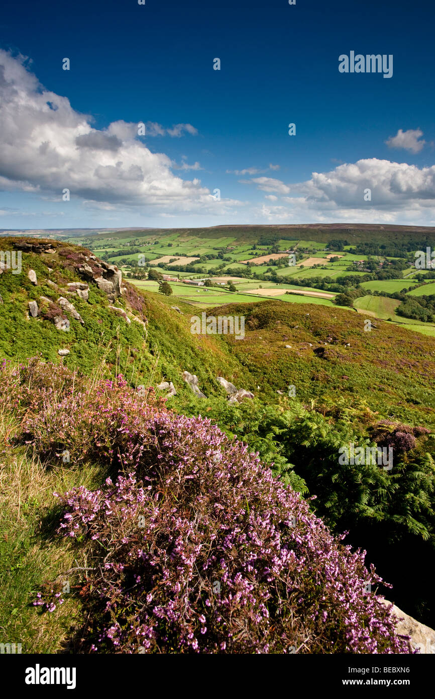 Danby Dale in summer, North York Moors National Park Stock Photo - Alamy