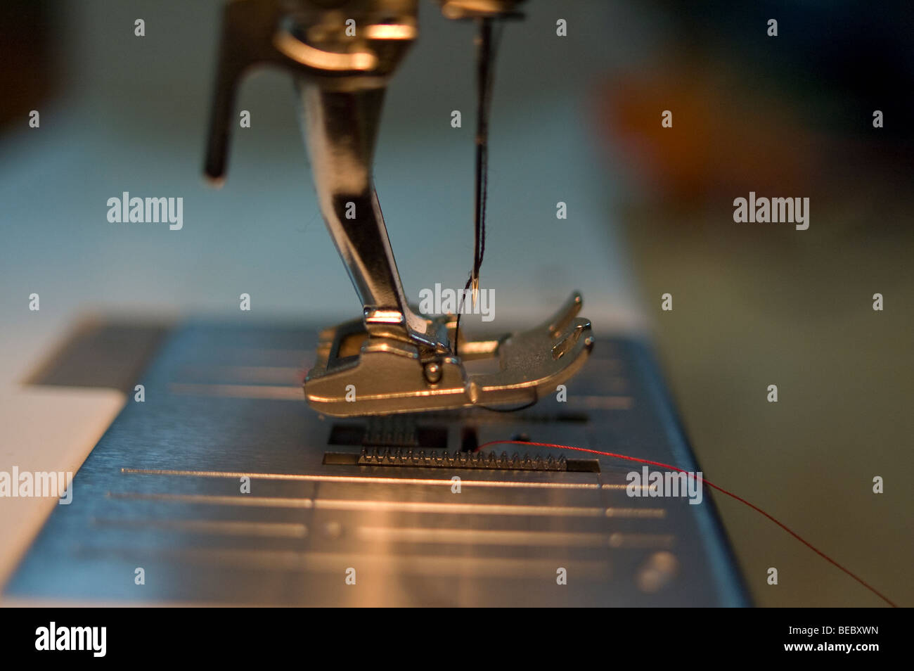 Close up of a sewing machine needle Stock Photo - Alamy
