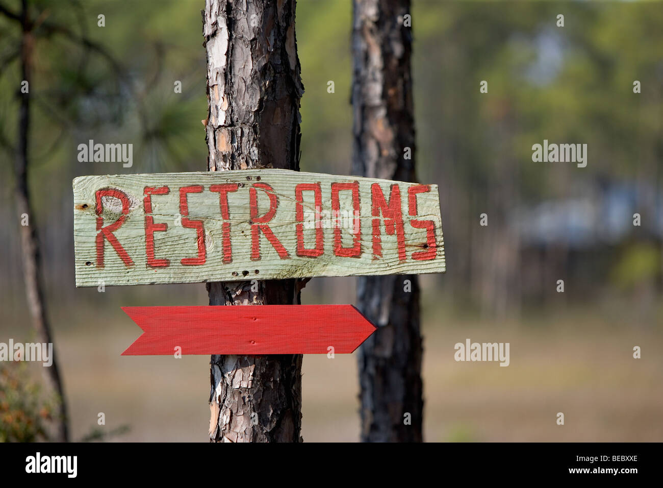 Close-up of an information signboard on a tree Stock Photo - Alamy