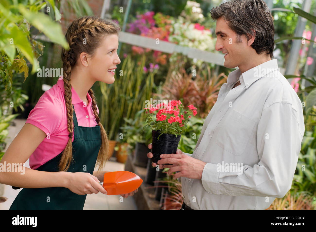 Customer buying a potted plant in a greenhouse Stock Photo - Alamy