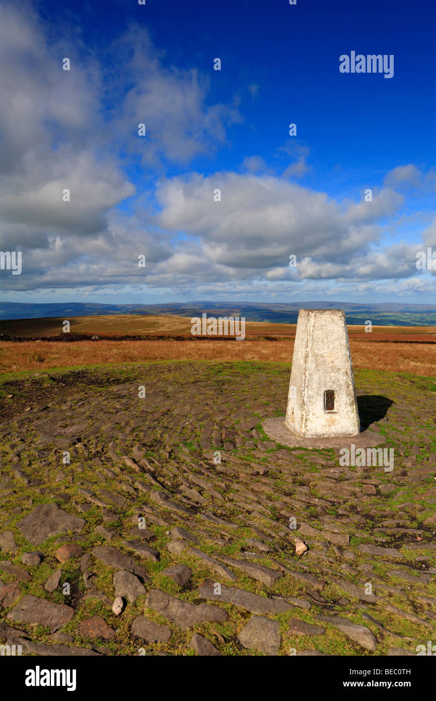 Point the way hi-res stock photography and images - Alamy