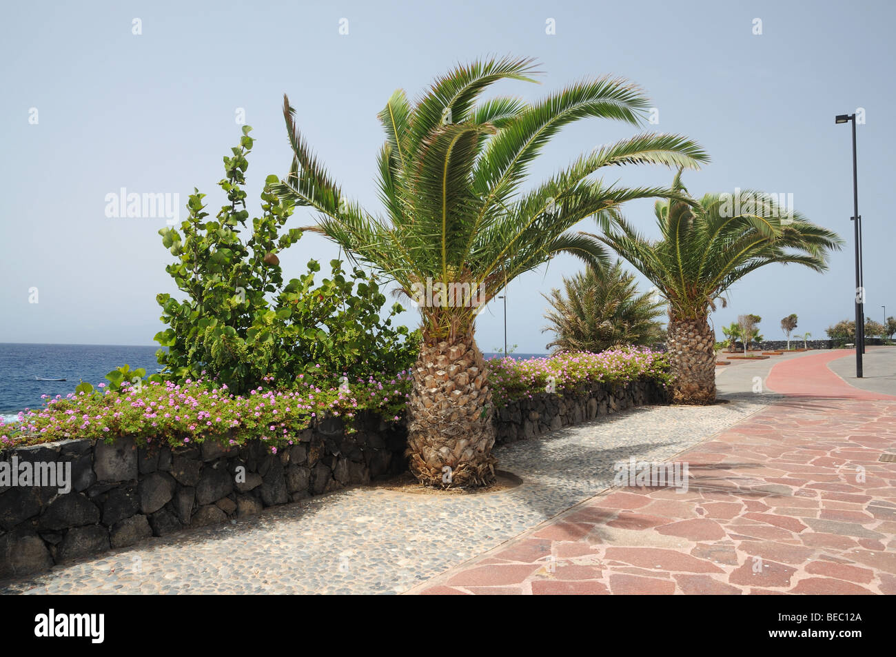 Tenerife promenade hi-res stock photography and images - Alamy