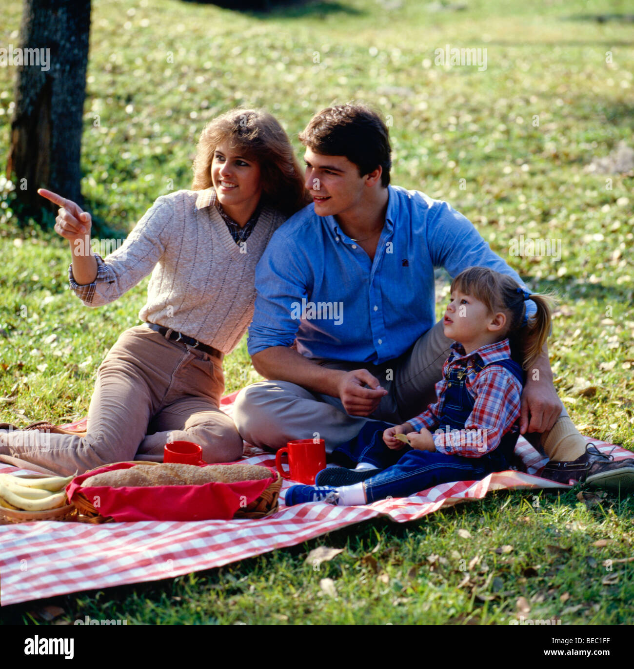 Family picnic retro 70s Stock Photo - Alamy