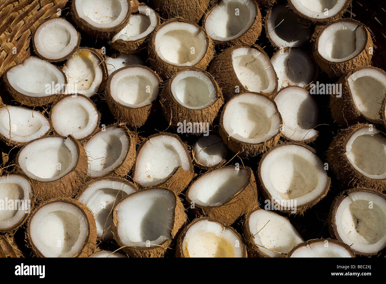 storage coconut food fruit cocoanut Stock Photo - Alamy