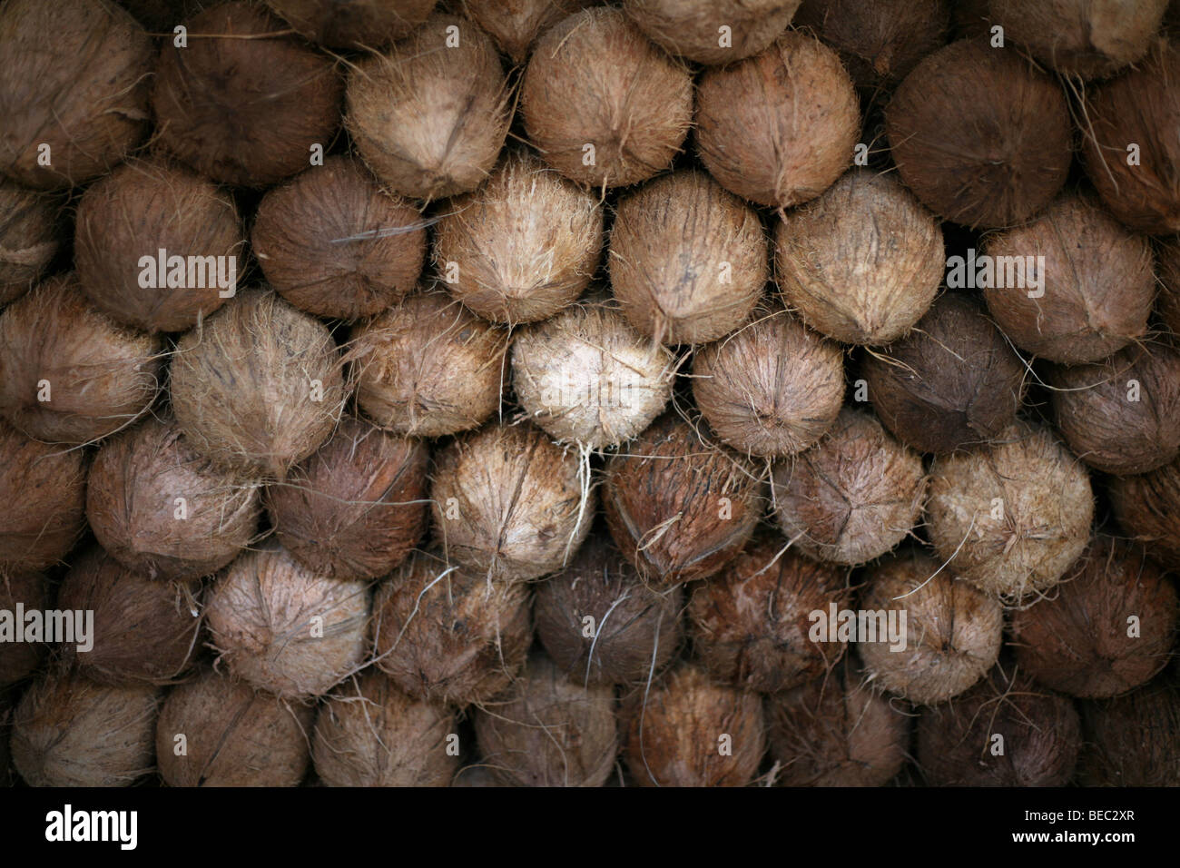 Coconut parts hi-res stock photography and images - Alamy