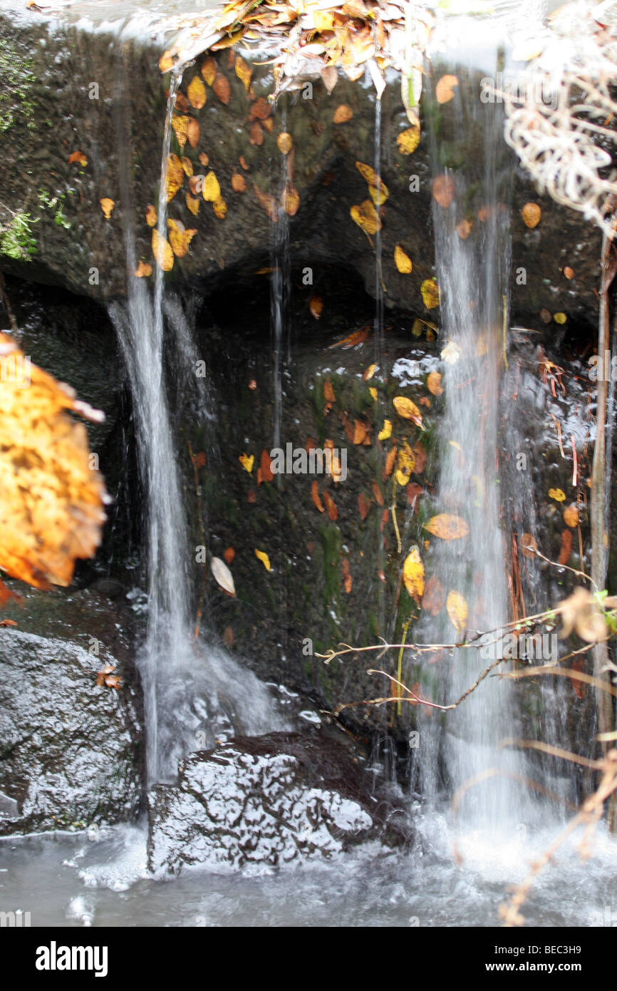 autumn leaves in a small waterfall Stock Photo - Alamy