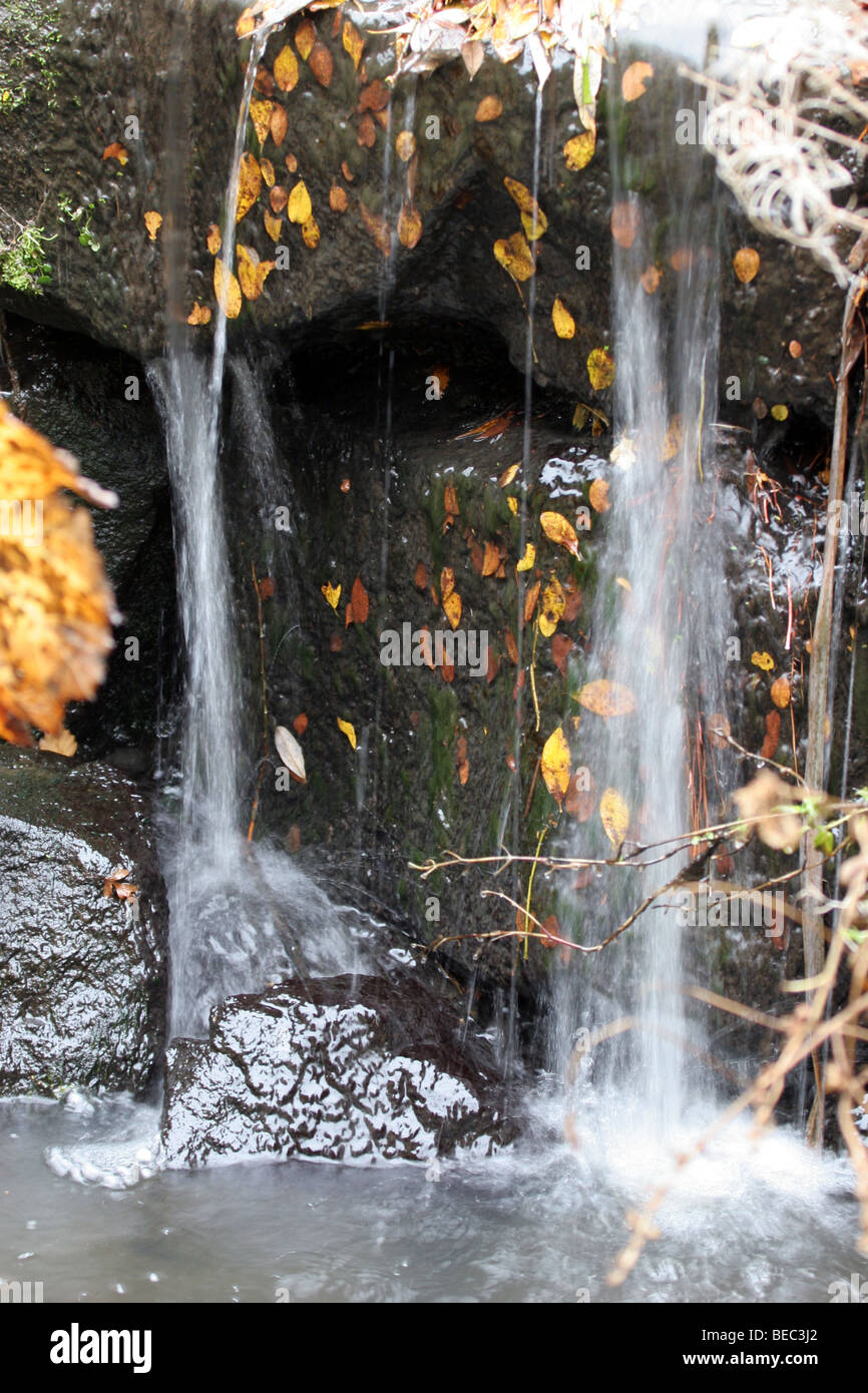 autumn leaves in a small waterfall Stock Photo - Alamy