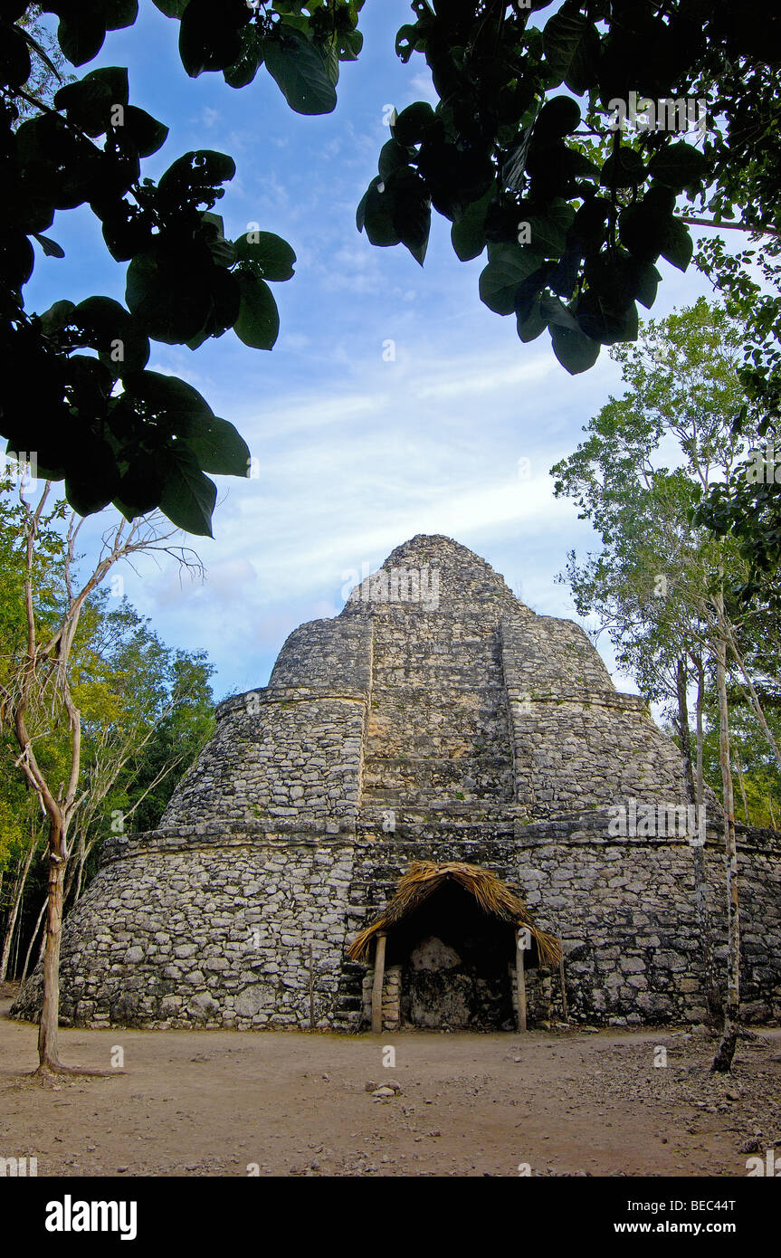 Small PYramid at Mayan ruins of Coba, Caribe. Quintana Roo state. Mayan ...