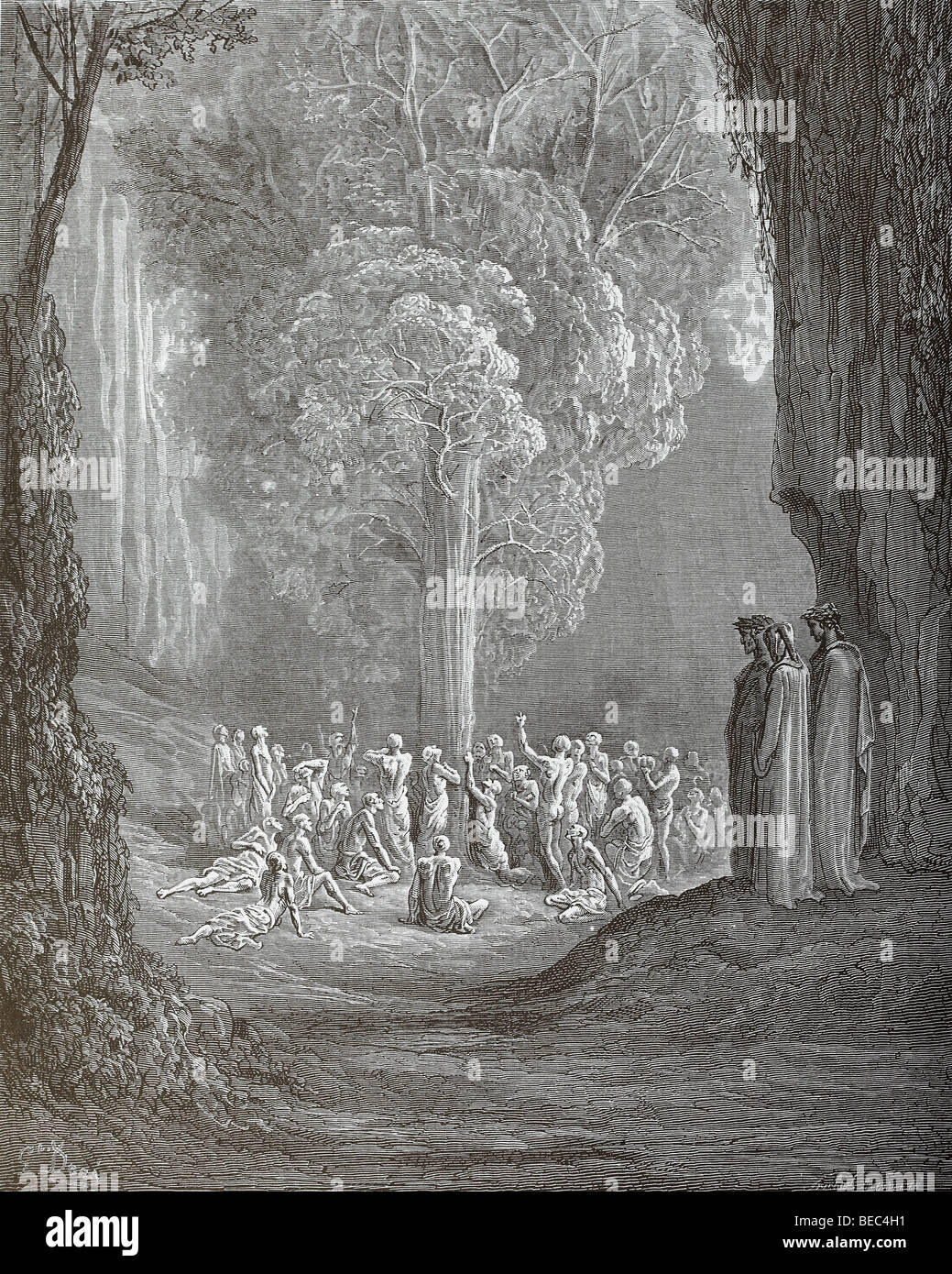 Gustave Dore's Illustration 'The Tree' from Dante's Divine Comedy Stock ...
