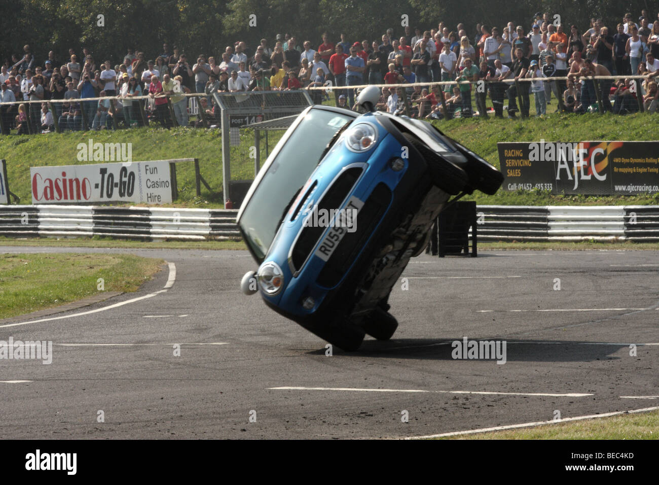 Russ swift hi-res stock photography and images - Alamy