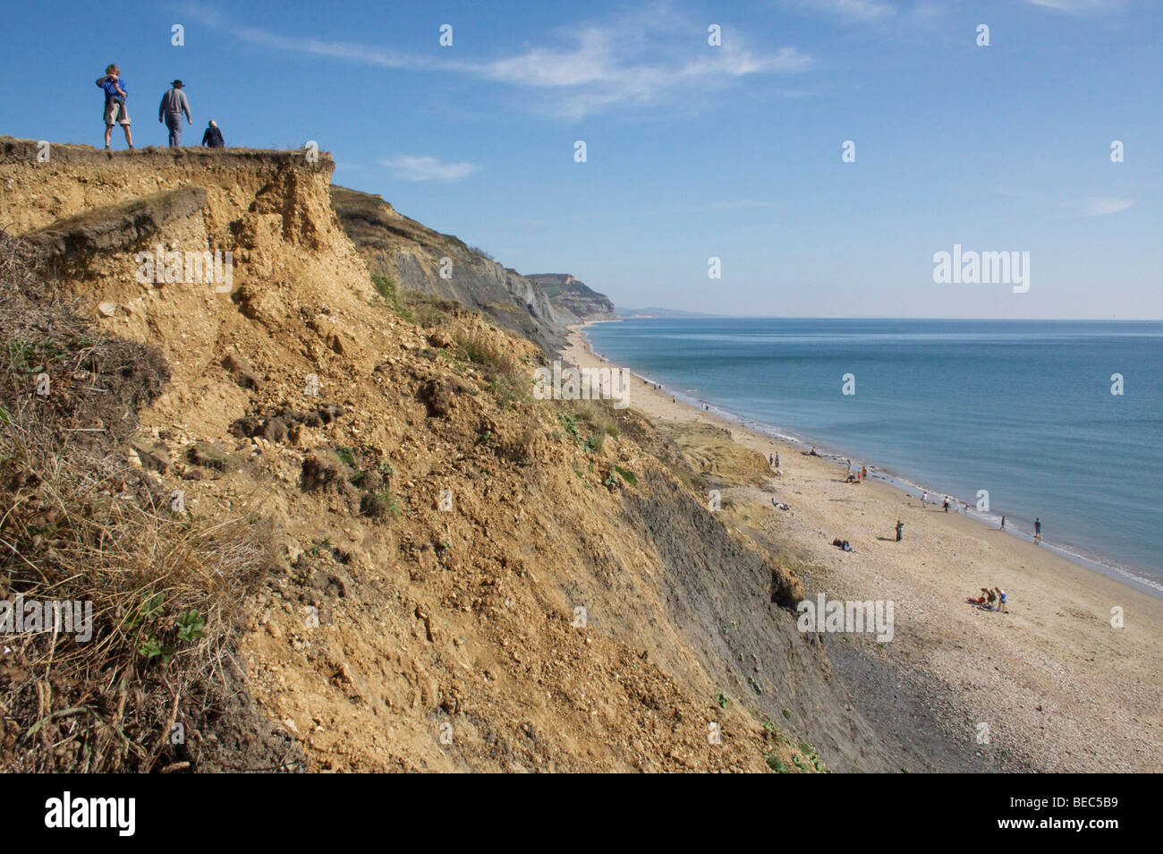 Landslip on Charmouth Cliffs Stock Photo - Alamy