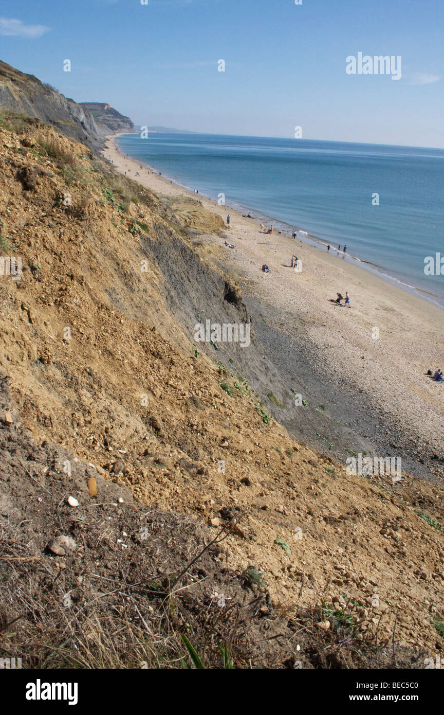 Landslip on Charmouth Cliffs Stock Photo - Alamy