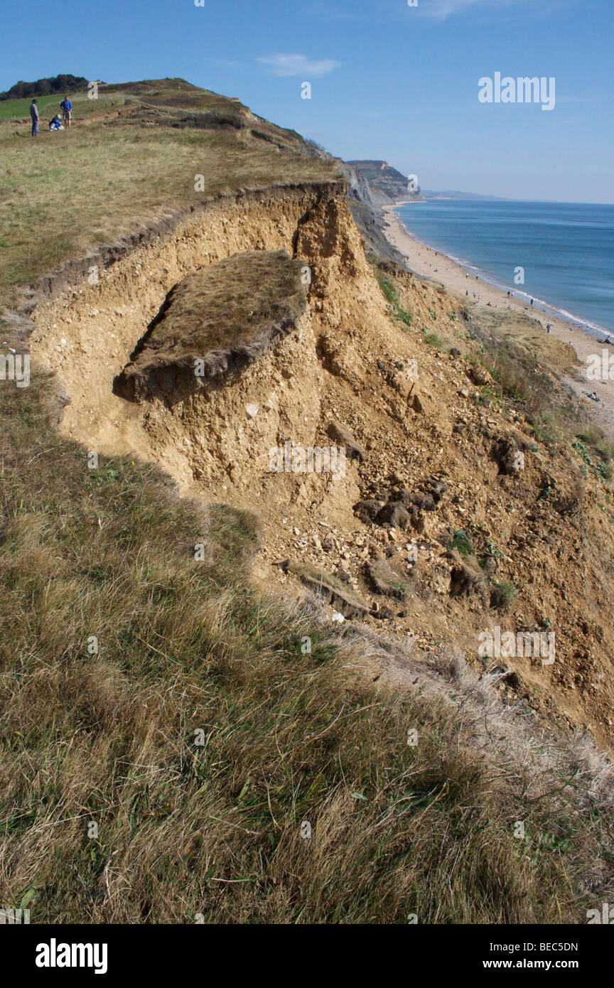 Landslip on Charmouth Cliffs Stock Photo - Alamy