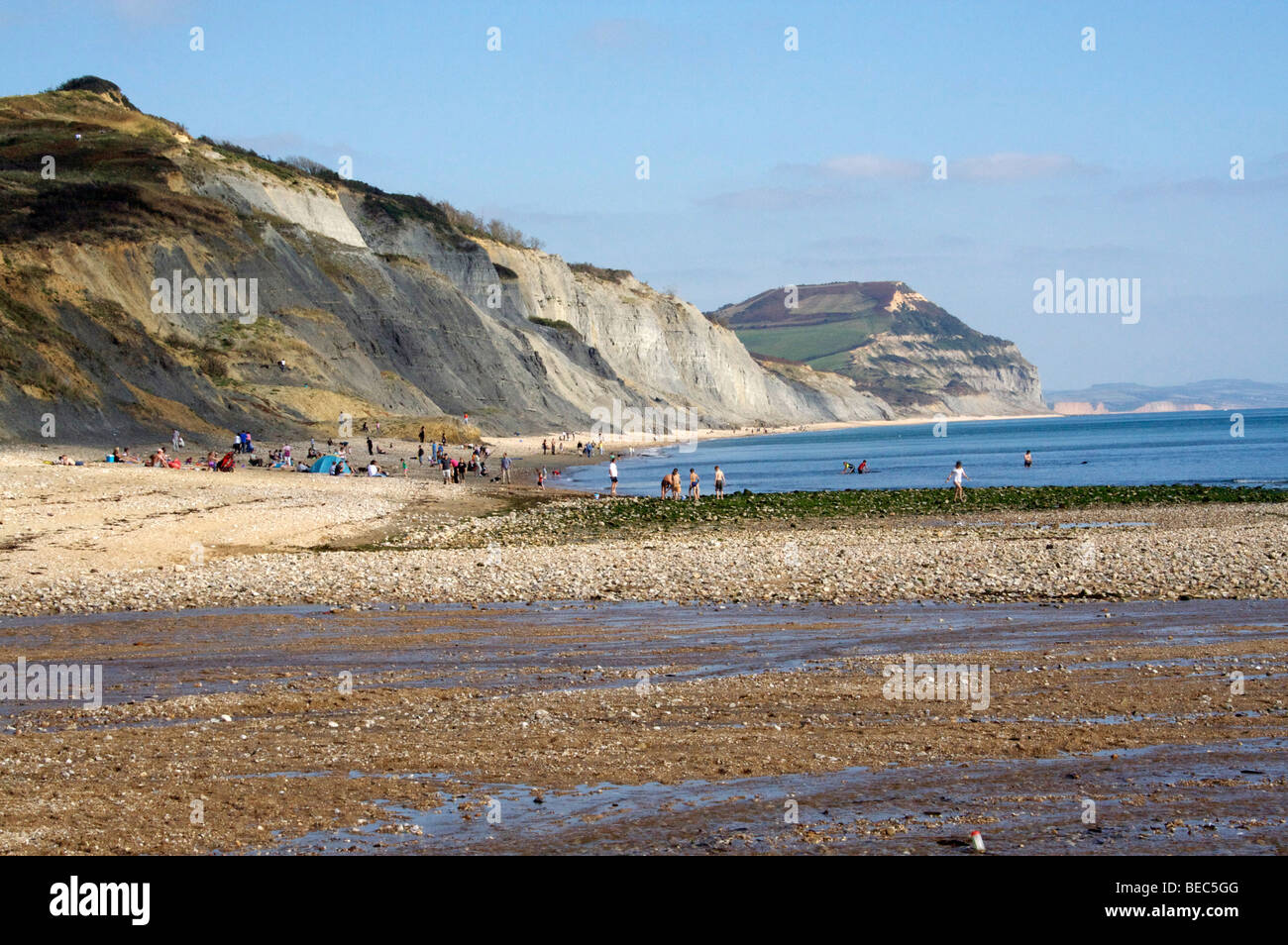 Charmouth Cliffs on a hot sunny day Stock Photo - Alamy