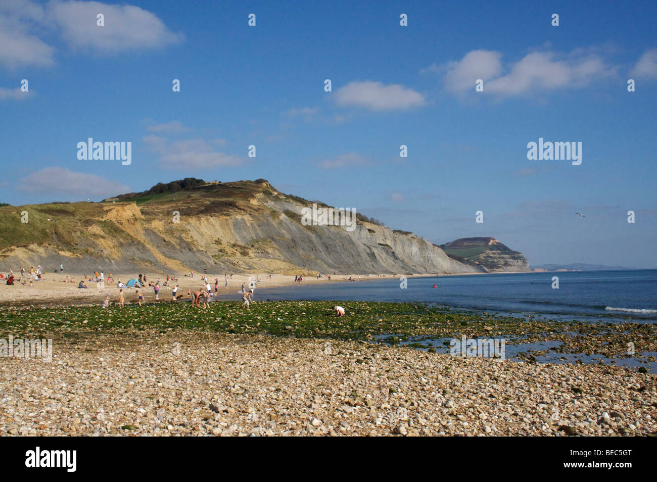 Charmouth Cliffs on a hot sunny day Stock Photo - Alamy