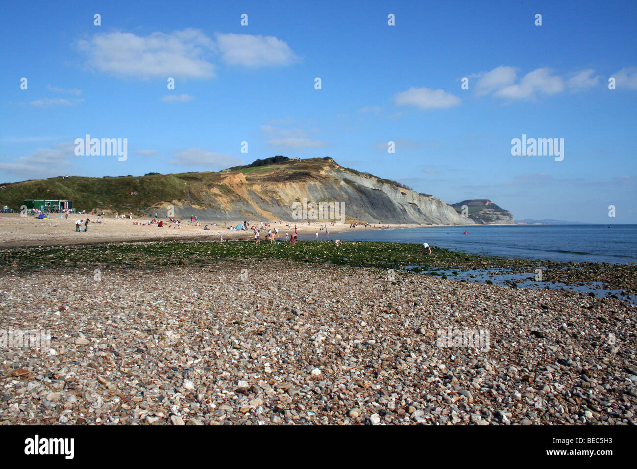 Charmouth Cliffs on a hot sunny day Stock Photo - Alamy